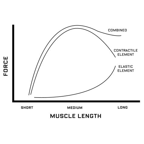 A Definitive Guide To Shifting The Curve THE STRENGTH GUYS