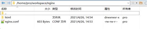 docker nginx部署springboot vue前后端分离项目 docker compose nginx中的vue以服务名访问后端 csdn博客