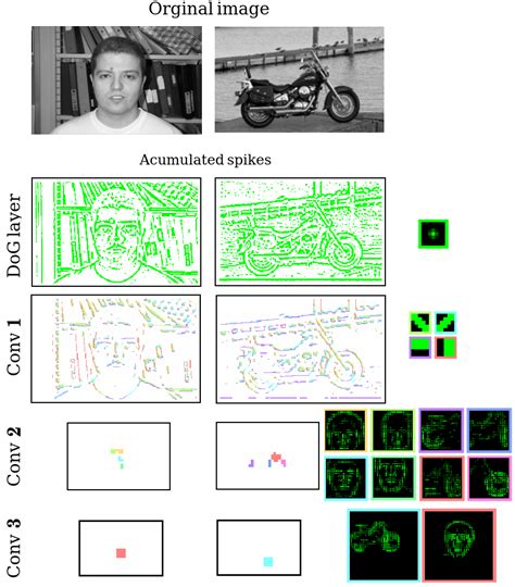 stdp based spiking deep convolutional neural networks for object recognition 知乎