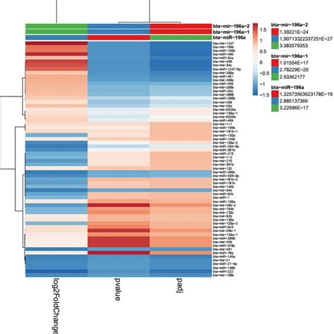 Hierarchical Clustering Of All Differentially Expressed SRNAs The