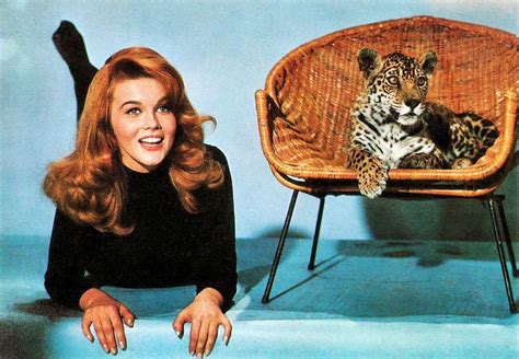 Ann Margret In Kitten With A Whip 1964 Ann Margret Ann Margret Photos Bye Bye Birdie