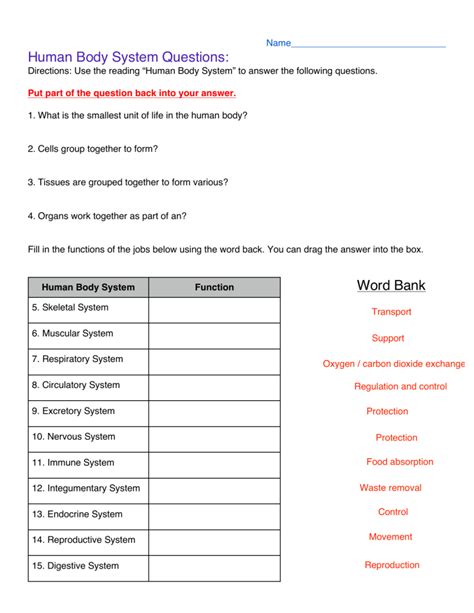 Body Systems Worksheet