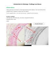 Bio Introduction To Histology Cartilage And Bones Answer Sheet