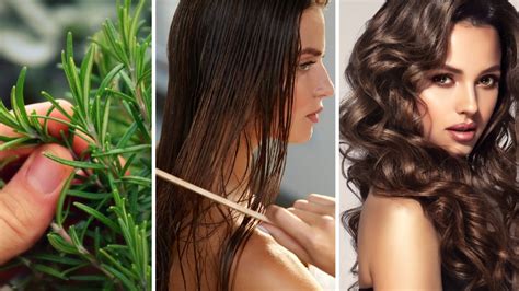 Tratamientos Con Romero Para Frenar La Ca Da De Cabello Y Lograr Un