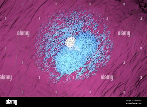 Cáncer de hígado hepatoma de color azul con células T realista vista