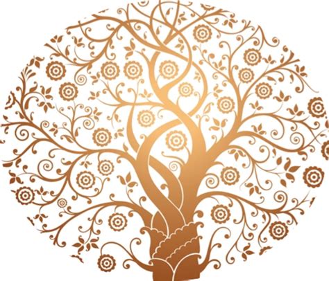 Bienvenue dans mon blog dédié à la naturopathie