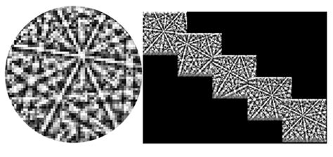 texture analysis edax blog