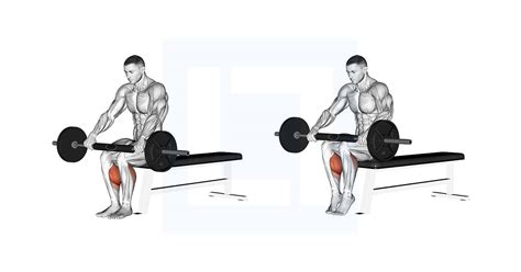 Standing Calf Raise Guide Benefits And Form