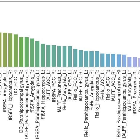 Feature Importance Bar Plot All Input Resting State Brain Functional