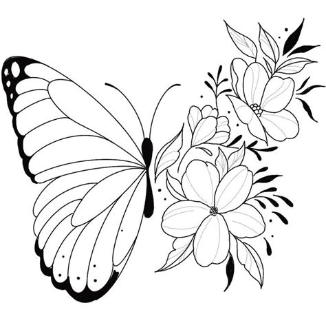 Pin By Renata Chies On A Bella Butterfly Coloring Page Butterfly