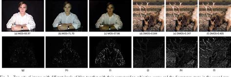 figure 3 from blind realistic blur assessment based on discrepancy learning semantic scholar