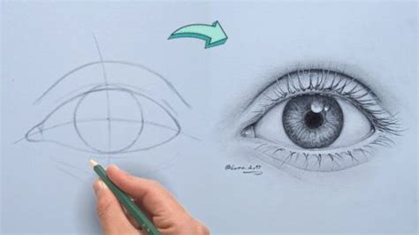 Domina el arte del realismo a lápiz Cómo hacer dibujos realistas paso