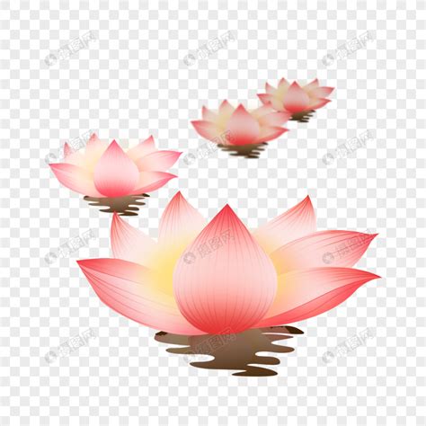 莲花河灯元素素材下载 正版素材401782205 摄图网