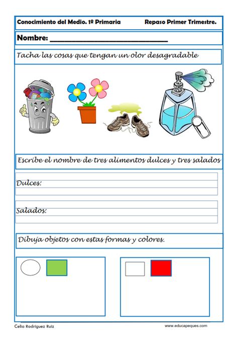 Conocimiento Del Medio Primero Primaria 08 Artofit