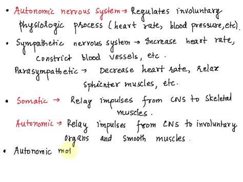 SOLVED Characterize The Autonomic Nervous System Distinguish Between