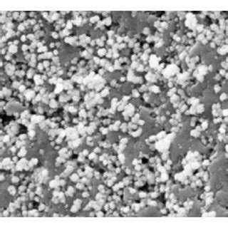 SEM images of a and b naked QuadraPure scale bar 20 μm c
