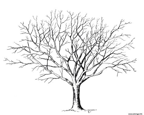 Coloriage Arbre 96 Dessin Arbre à imprimer