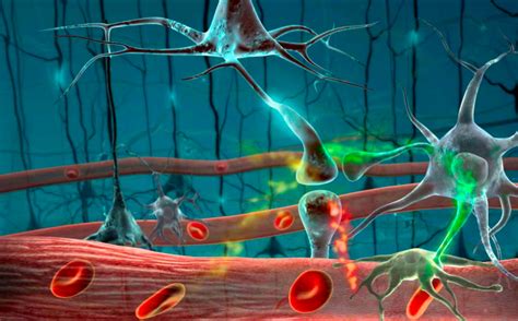 Biomarcadores y pacientes de cáncer Revista La Vida en Rosa LVR