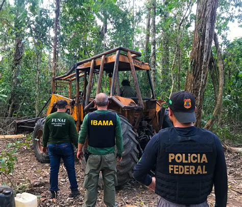 PF combate o desmatamento ilegal em florestas protegidas Ponta Porã