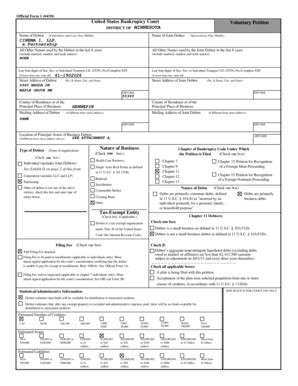 Fillable Online Voluntary Petition United States Bankruptcy Court