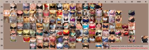 Visual Guide To Illustrate Correct Bra Sizes Uk Sizing Correct Bra