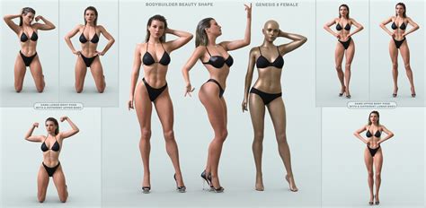 Z Muscular Beauty Shape And Pose Mega Set For Genesis 8 And 8 1 Female