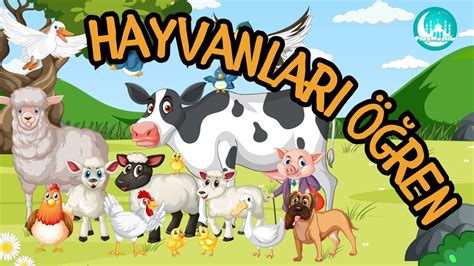 Hayvan sesleri hayvan isimleri hayvan çıkaranları ve sesleri Küçük