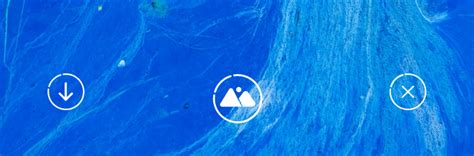 Flutter Create Circular Border Around Icons Flutter Fixes