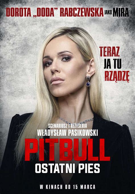 Pitbull Ostatni Pies 2018