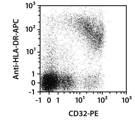 Cd Antibody Anti Human Reafinity Miltenyi Biotec Usa