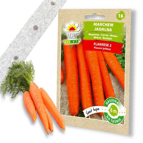 Szukasz Nasiona Warzyw Na Tasmie W Marchew Nasiona