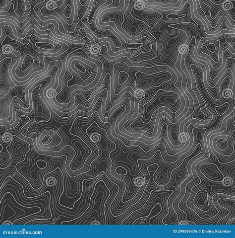 Grey Contours Vector Topography Mountain Terrain Geographic Map