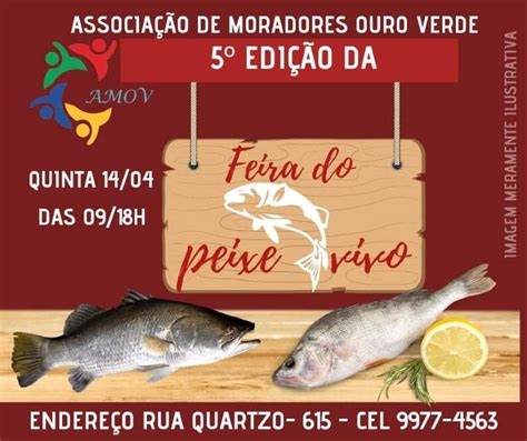 Feira de peixe vivo acontece na região do Porto Meira nesta quinta