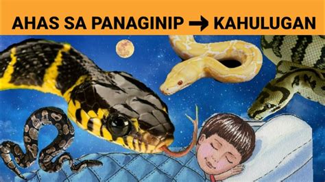 NANAGINIP KA BA NG AHAS KAHULUGAN NG AHAS SA PANAGINIP DAPAT BANG