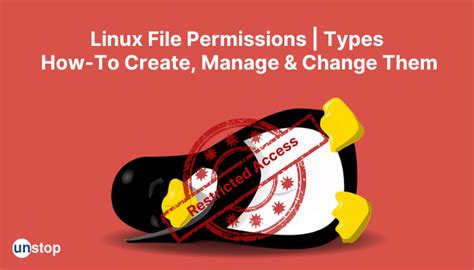 Linux File Permissions Simplified A Complete Guide Unstop