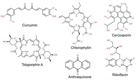 Molecules Free Full Text Development Of Biotechnological