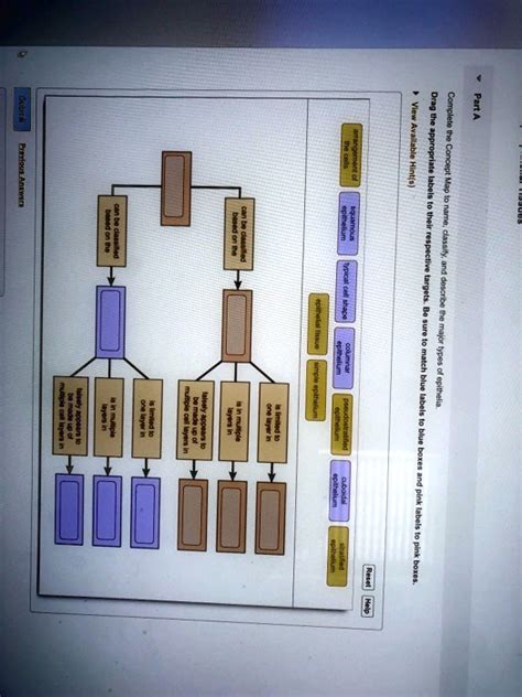 Solved View Available Hints Part A Previous Answer And Complete The