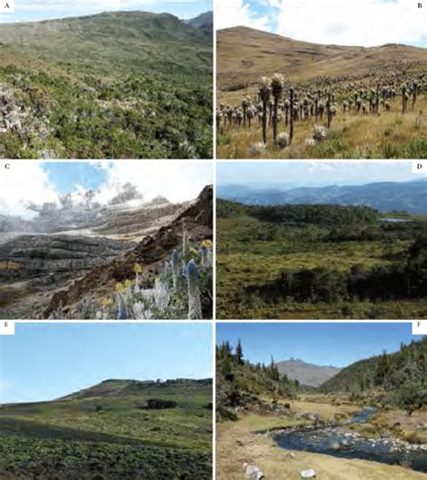 PÁRAMO bioma Qué es ubicación características clima flora y fauna