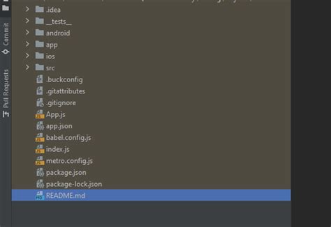 my entire project is showing up as not part of the project ides support intellij platform