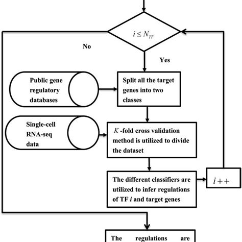 the flowchart of gene regulatory network inference with single cell download scientific diagram