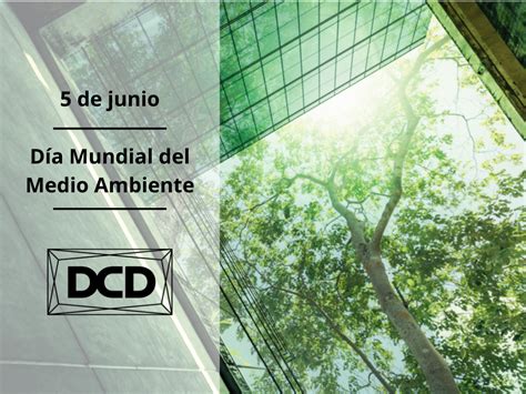 DCD celebra el Día Mundial del Medio Ambiente DCD