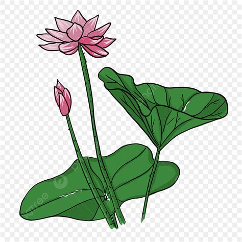 Color Gu Yu Qingming Cartoon PNG Pintado A Mano Lotus Hoja De Loto
