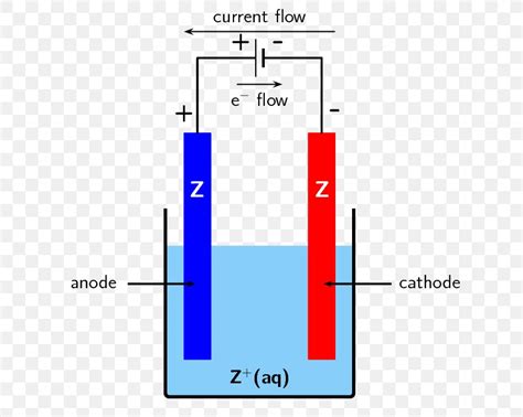 Electrochemical Cell Diagram Labeled