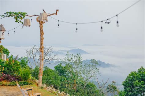 Tour Cắm Trại Đà Lạt Cloud View Glamping Lều F Cloud Glamping