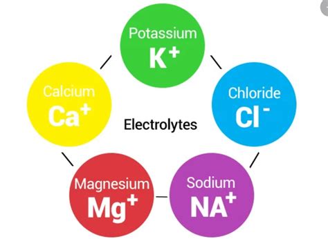 Examples Of Electrolytes In Chemistry At Mary Nestor Blog