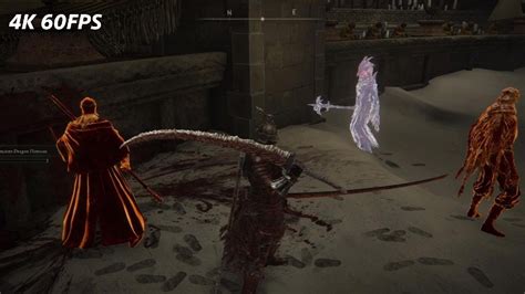 Elden Ring Shadow Of The Erdtree Final Battle Against Needle Knight