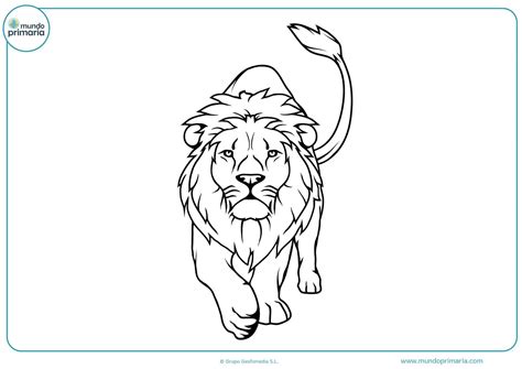 Dibujos De Leones Para Colorear A L Piz O Como Quieras Mundo Primaria