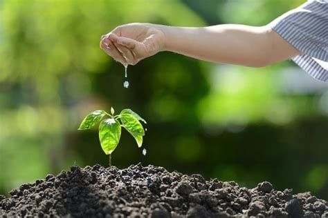 50 gestes écologiques pour protéger notre environnement