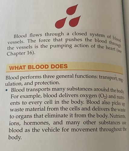Chapter 15 Blood Flashcards Quizlet
