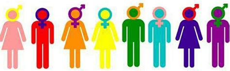 Diferen As Entre Sexo Orienta O Sexual E G Nero Lgbt Amino
